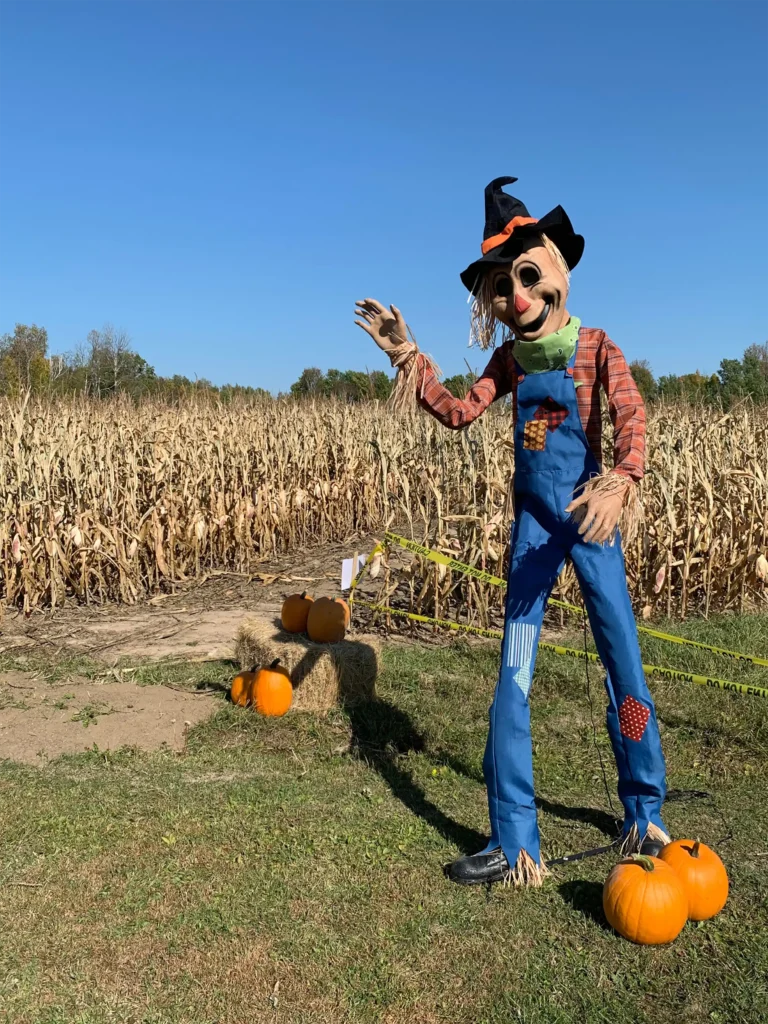 Fall For All Festival - Mille Lacs Lake Reporting